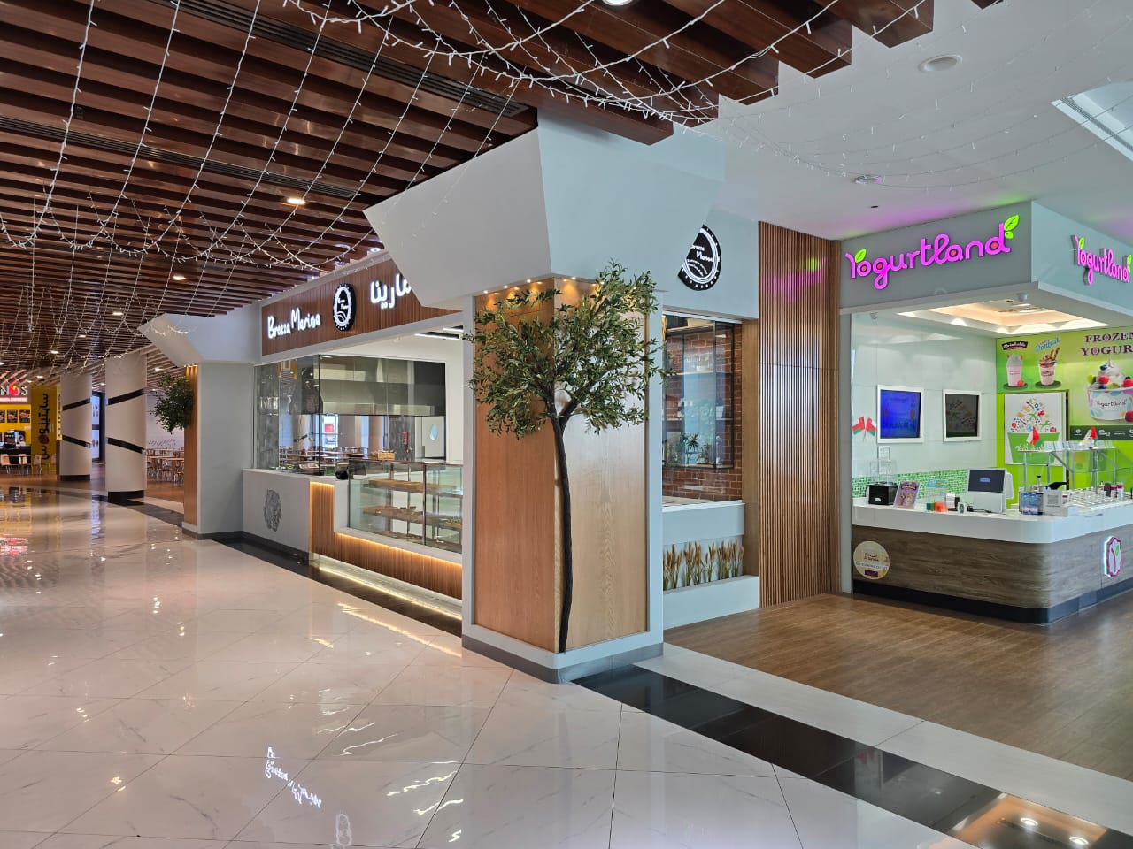 Design of the Pasta Bar - butterflyco